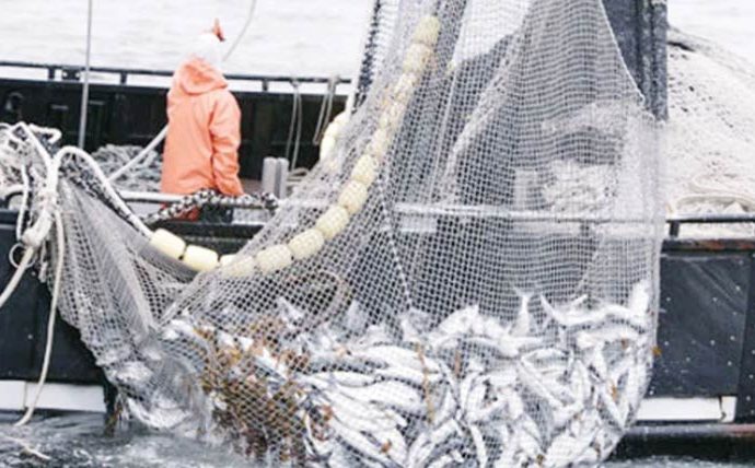 Sindh Cabinet Approves 15-Day Relaxation in Annual Fishing Ban ...